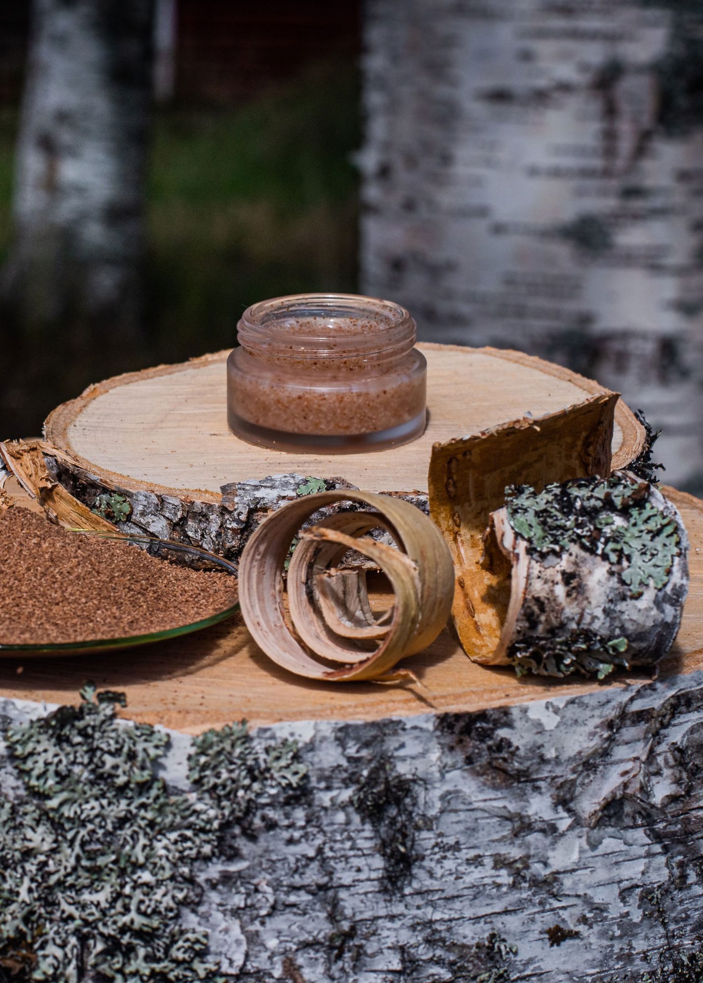 Barkinno Birch Powder - Biobased micro plastics replacement